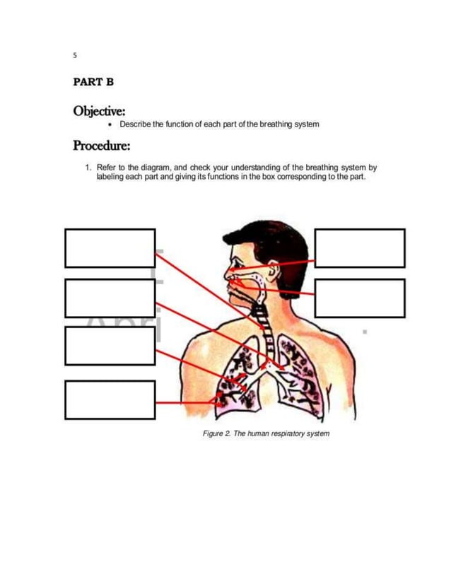 Grade 9 learner's module (science) | DOCX