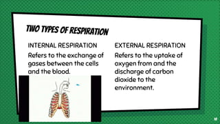 The Respiratory System | PPTX | Lung and Respiratory Health | Diseases ...