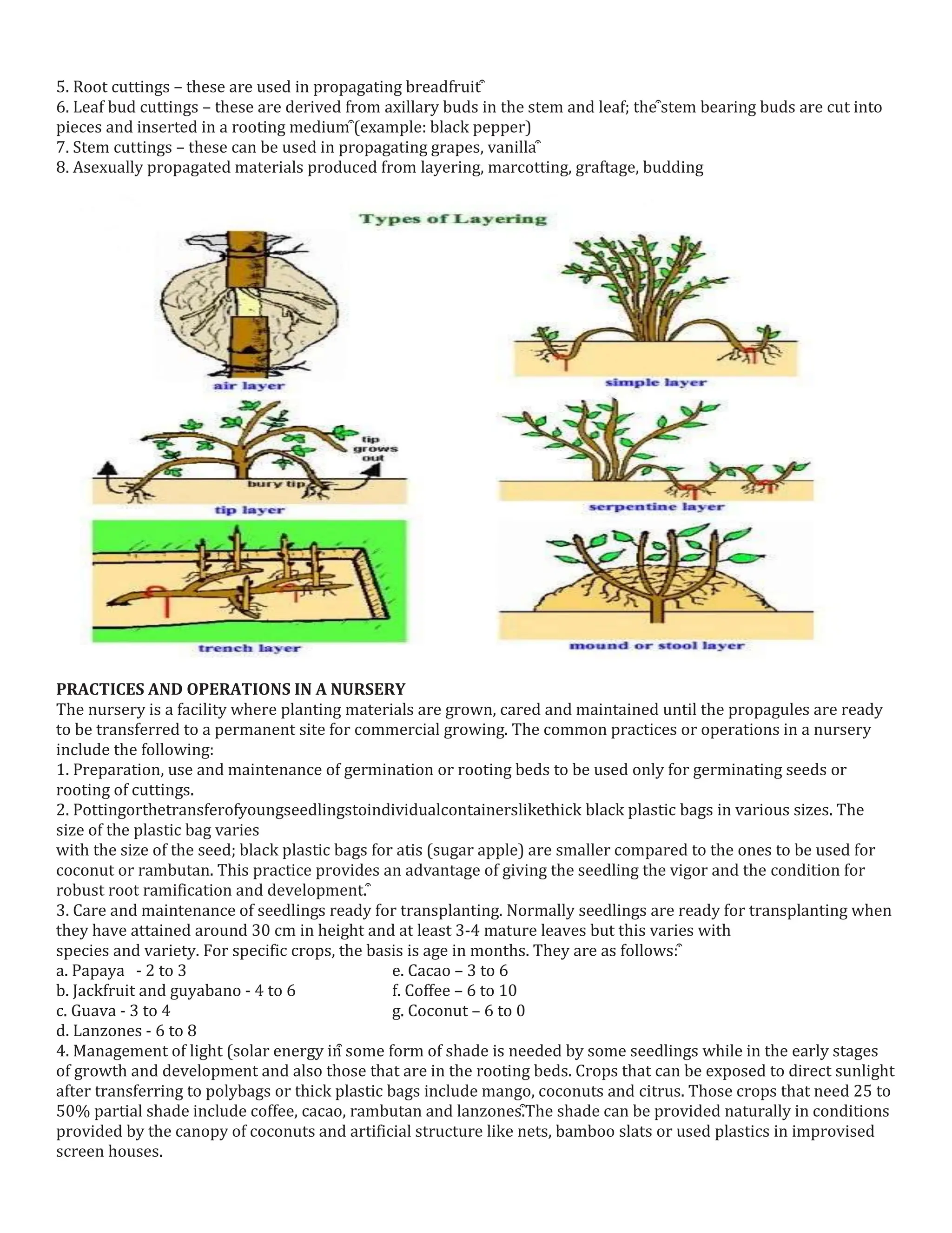 Information Sheet for Lesson 5 and 6 for Grade 9 Crop Production | PDF
