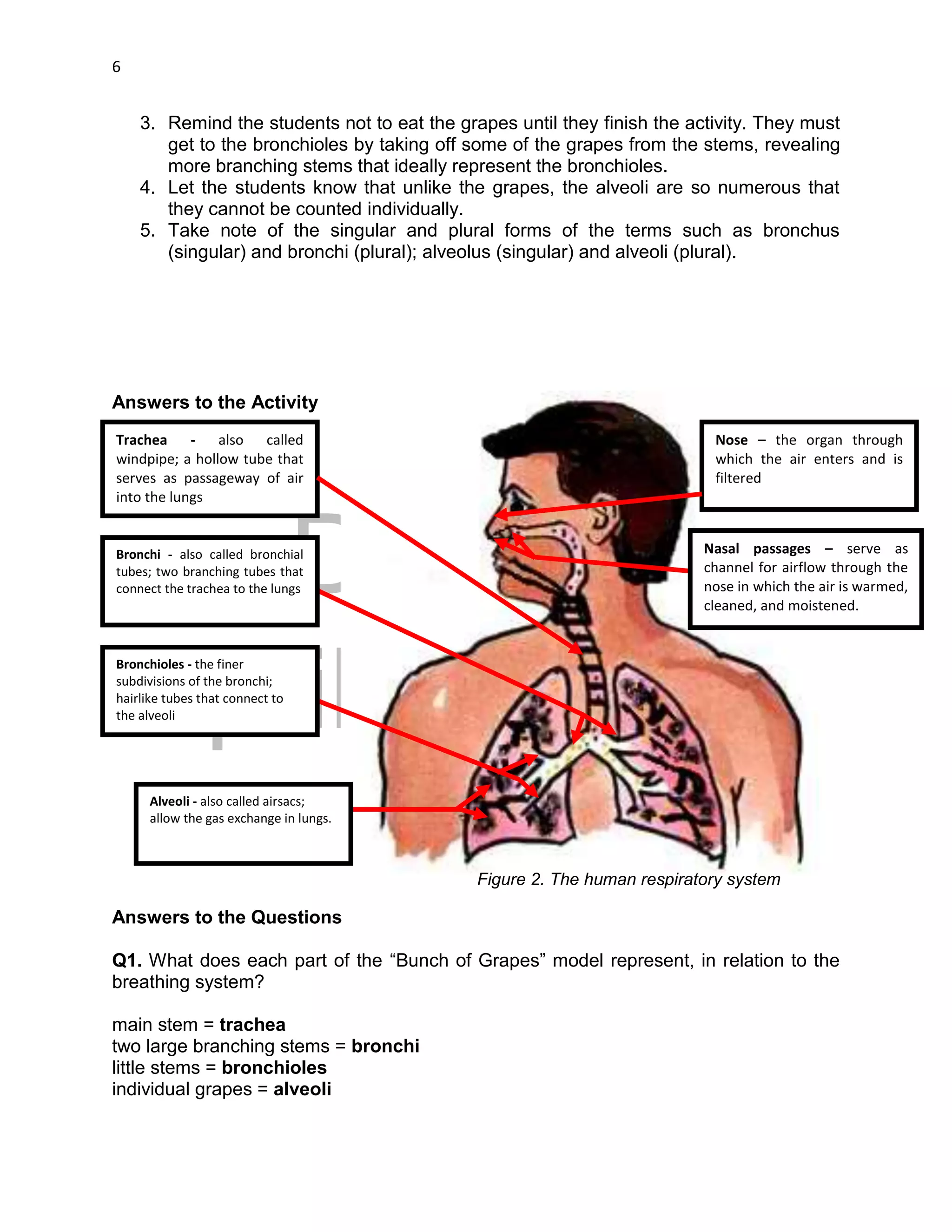 Grade 9 module | PDF