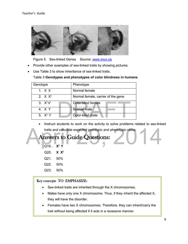 Grade 9 module | PDF