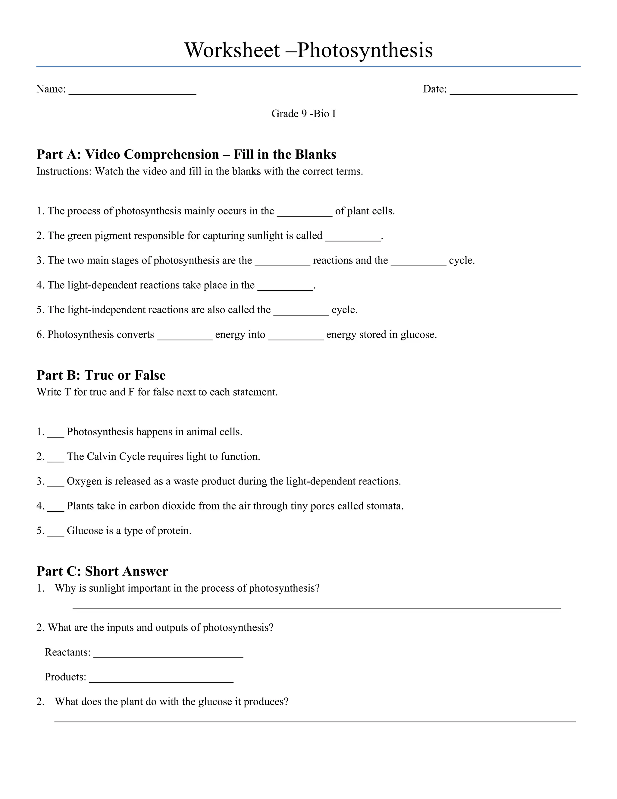 Photosynthesis Worksheet/ light dependent and independent reactions | PDF
