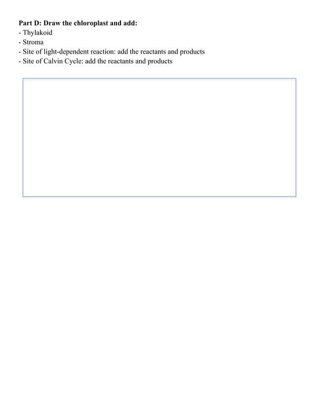 Photosynthesis Worksheet/ light dependent and independent reactions | PDF
