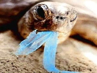 Grade 9 recycling project | PPTX