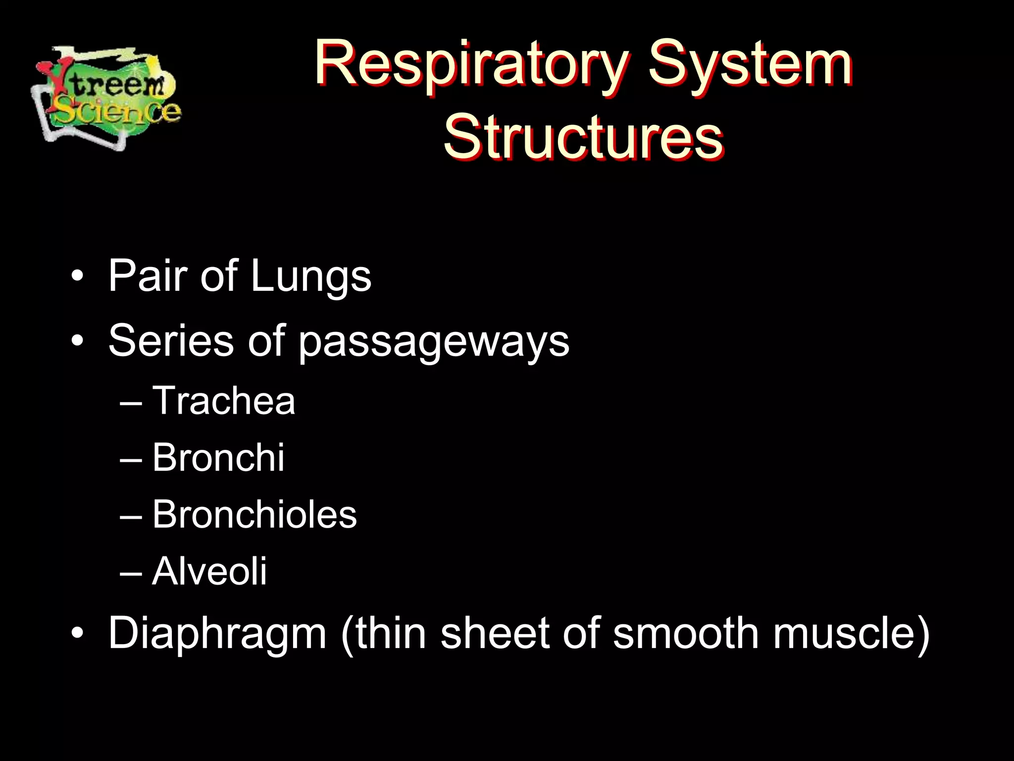 Grade_9_Respiratory_System | PPT