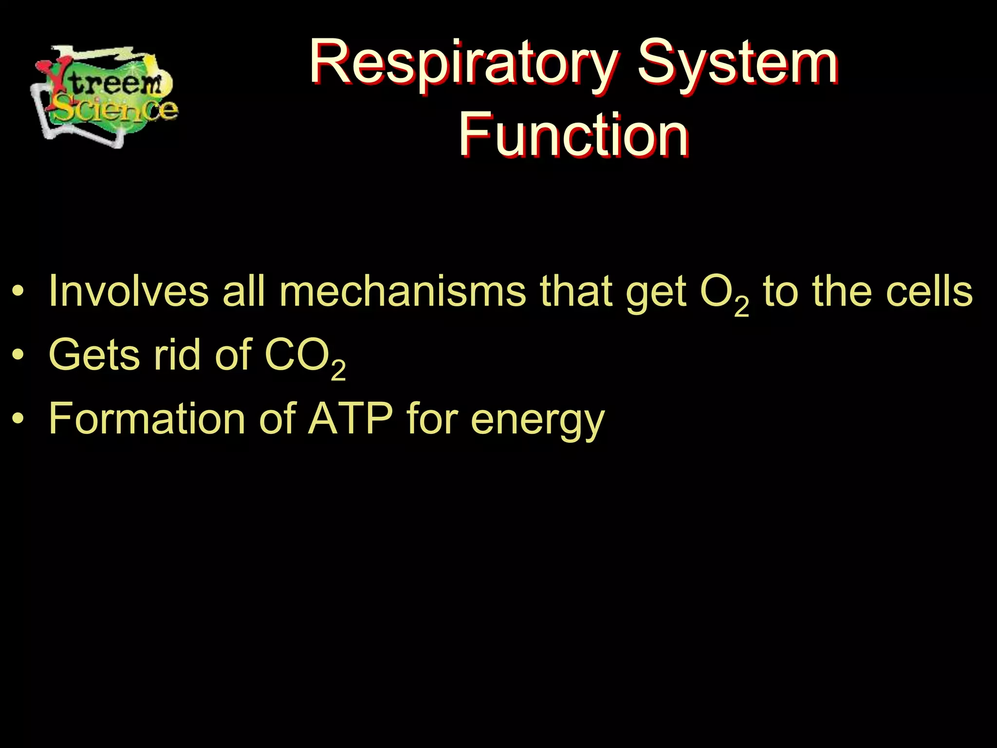 Grade_9_Respiratory_System | PPT