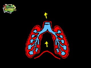 Grade_9_Respiratory_System | PPT