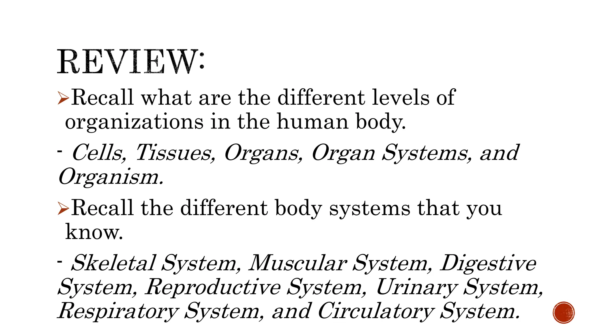GRADE 9 RESPIRATORY SYSTEM.pptx