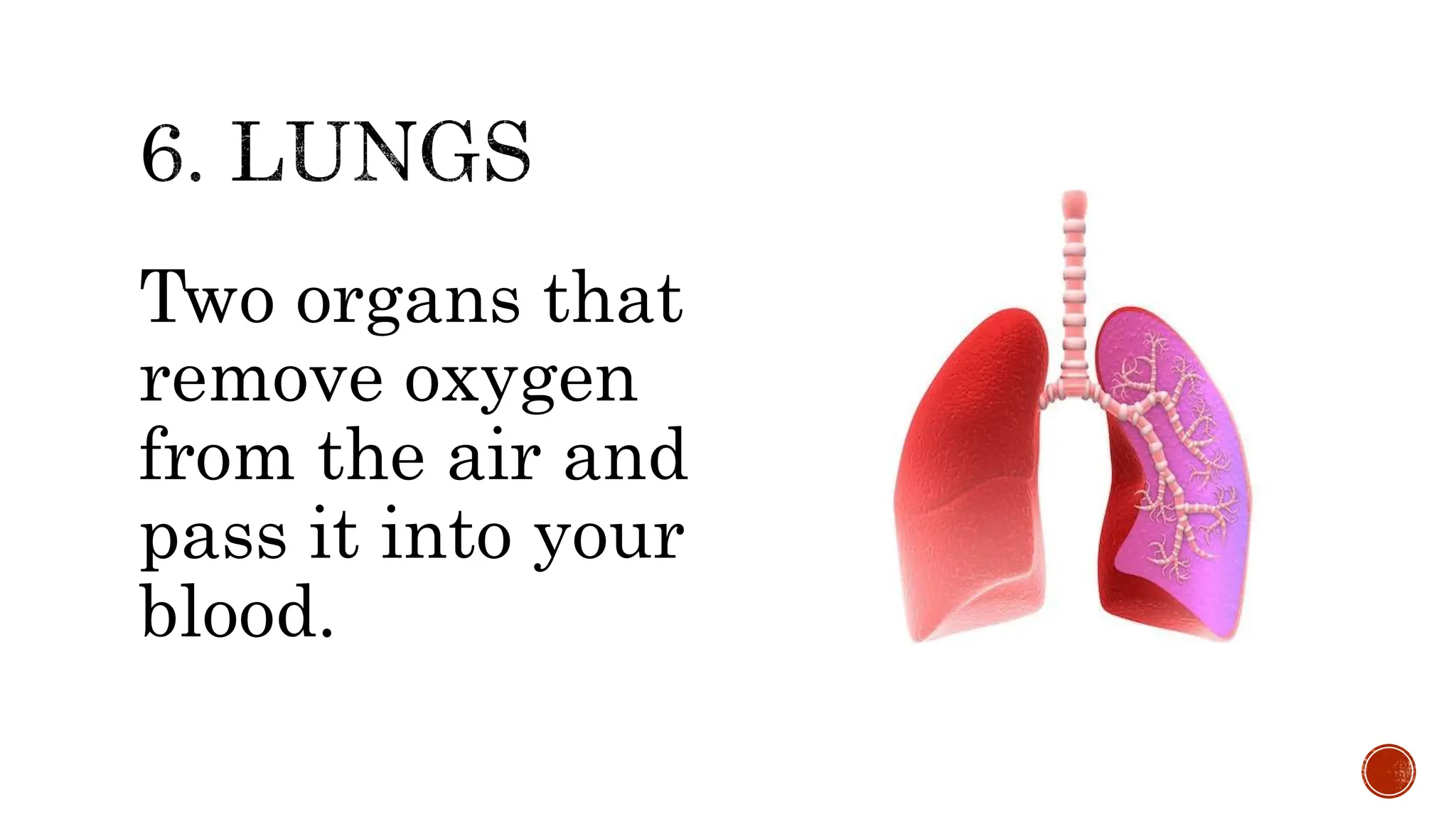 GRADE 9 RESPIRATORY SYSTEM.pptx