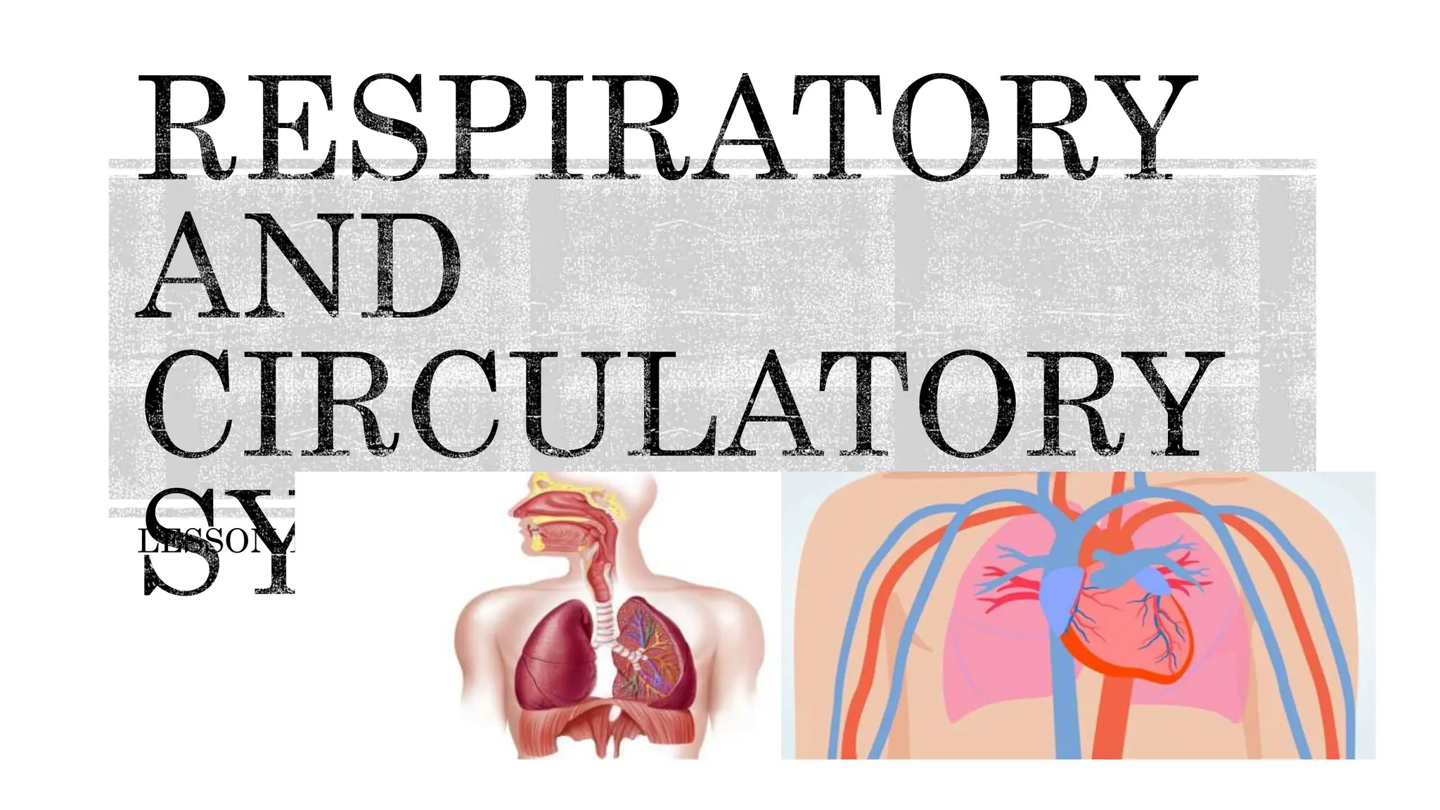 GRADE 9 RESPIRATORY SYSTEM.pptx