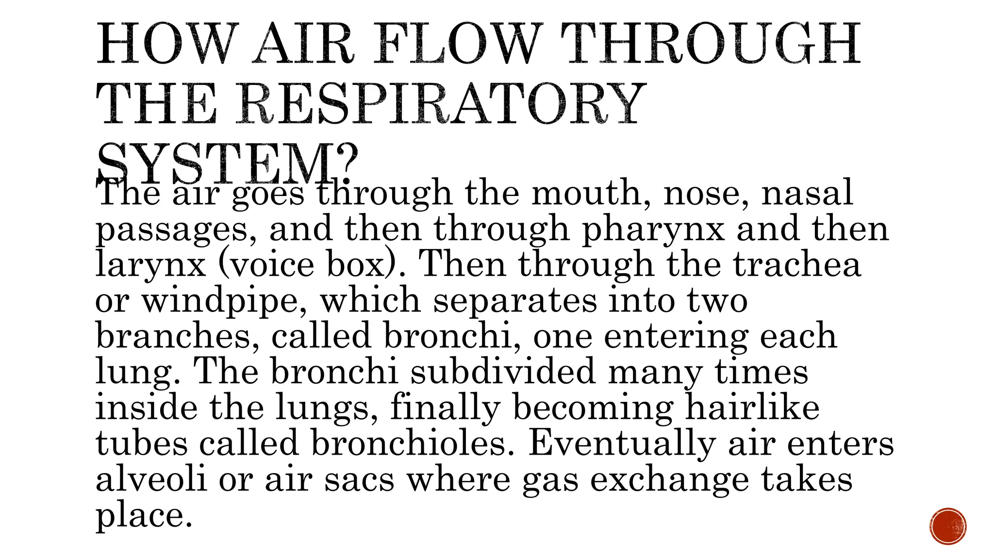 GRADE 9 RESPIRATORY SYSTEM.pptx
