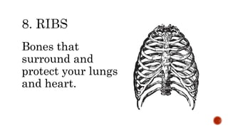 GRADE 9 RESPIRATORY SYSTEM.pptx