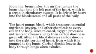 GRADE 9 RESPIRATORY SYSTEM.pptx