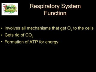 Grade_9_Respiratory_System in Integratedscience.ppt