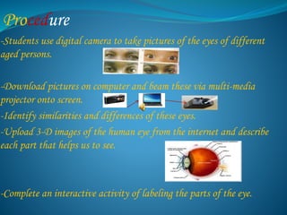 Graded discussion 1 power point presentation | PPT