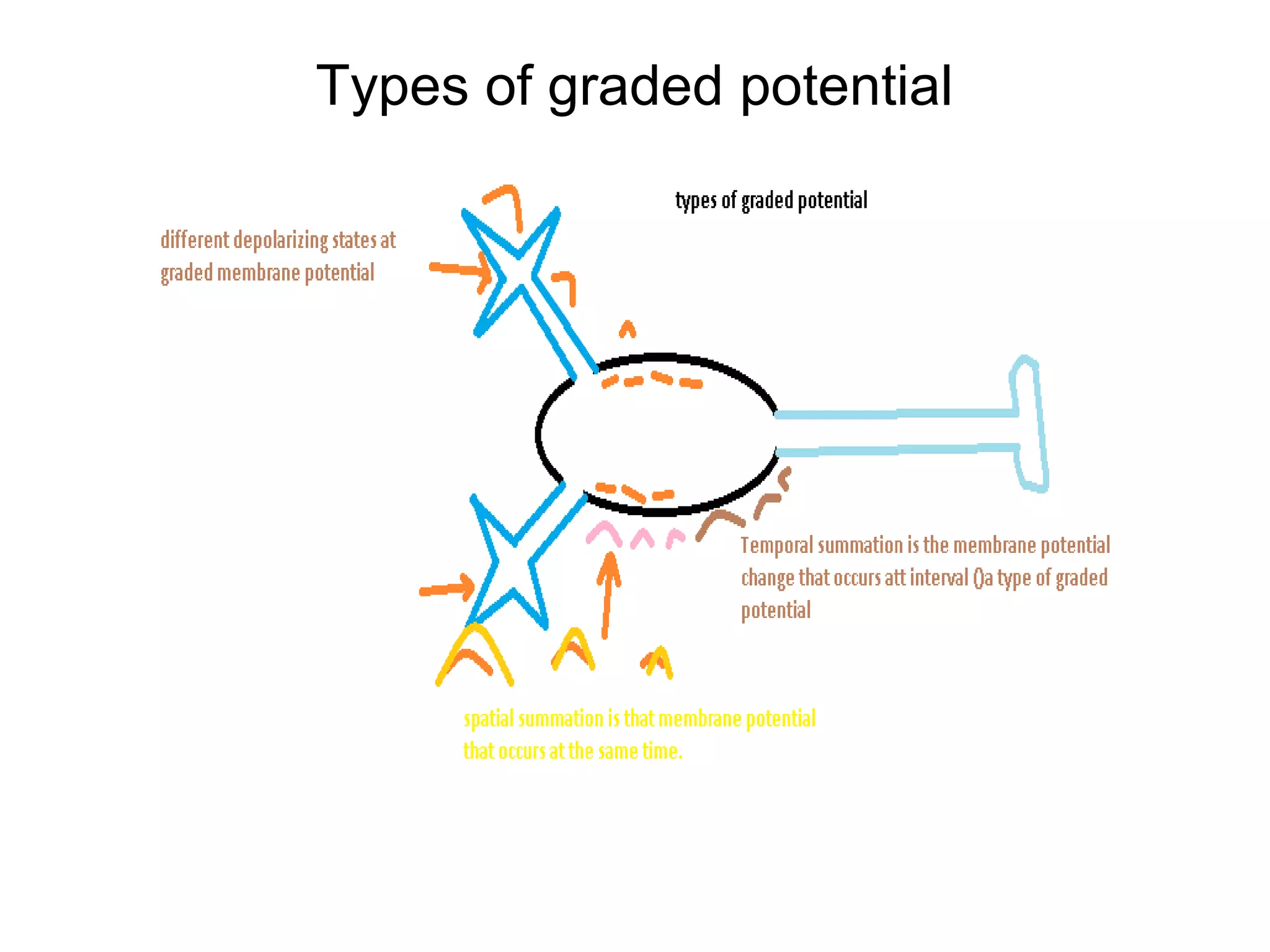 Graded potential | PPT