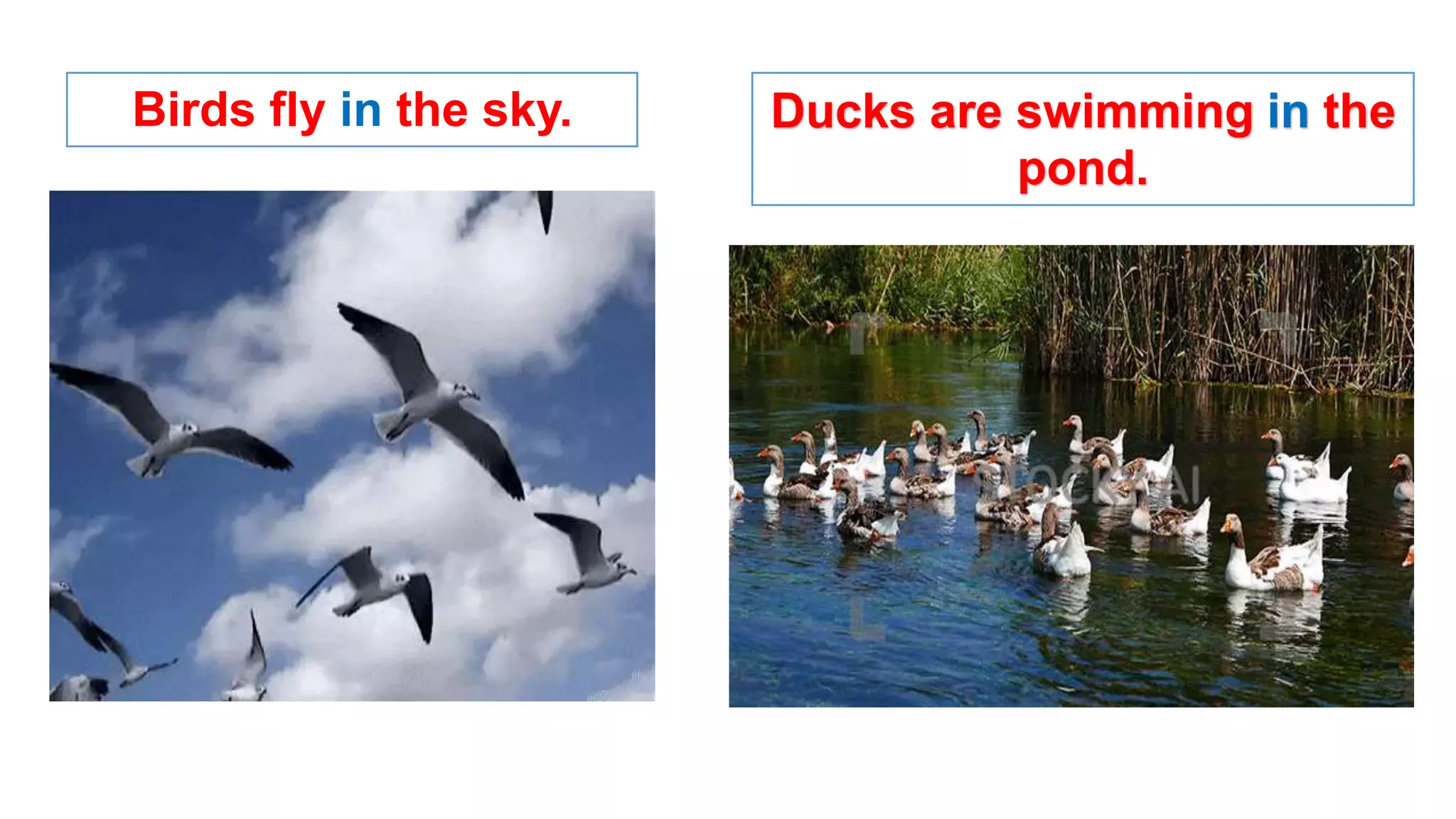 Grade ii prepositions | PPTX
