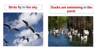 Grade ii prepositions | PPTX