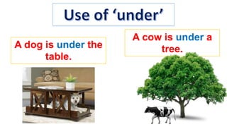 Grade ii prepositions | PPTX