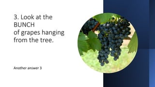 Grade III English 10 collective nouns | PPTX