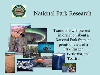 PAT Grade Level Curriculum | PPT | Reptiles | Pets