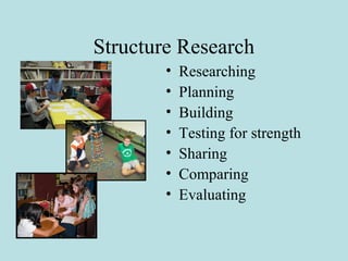 PAT Grade Level Curriculum | PPT | Reptiles | Pets