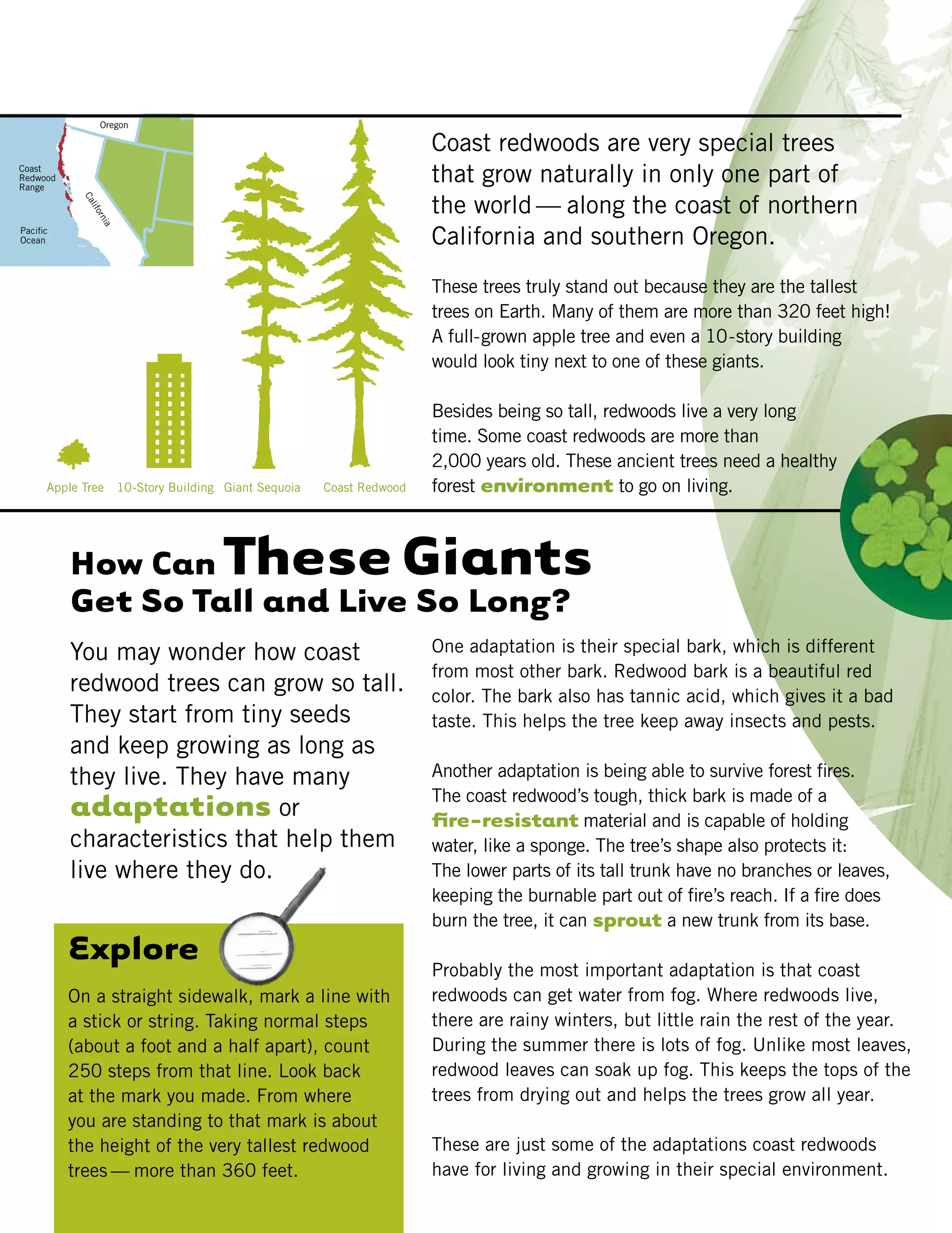 Grades 3 5 - have you ever seen a real-life giant | PDF