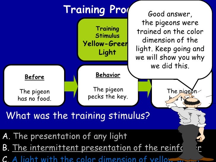 Stimulus Generalization
