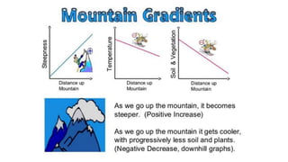 Gradient of a line | PPTX