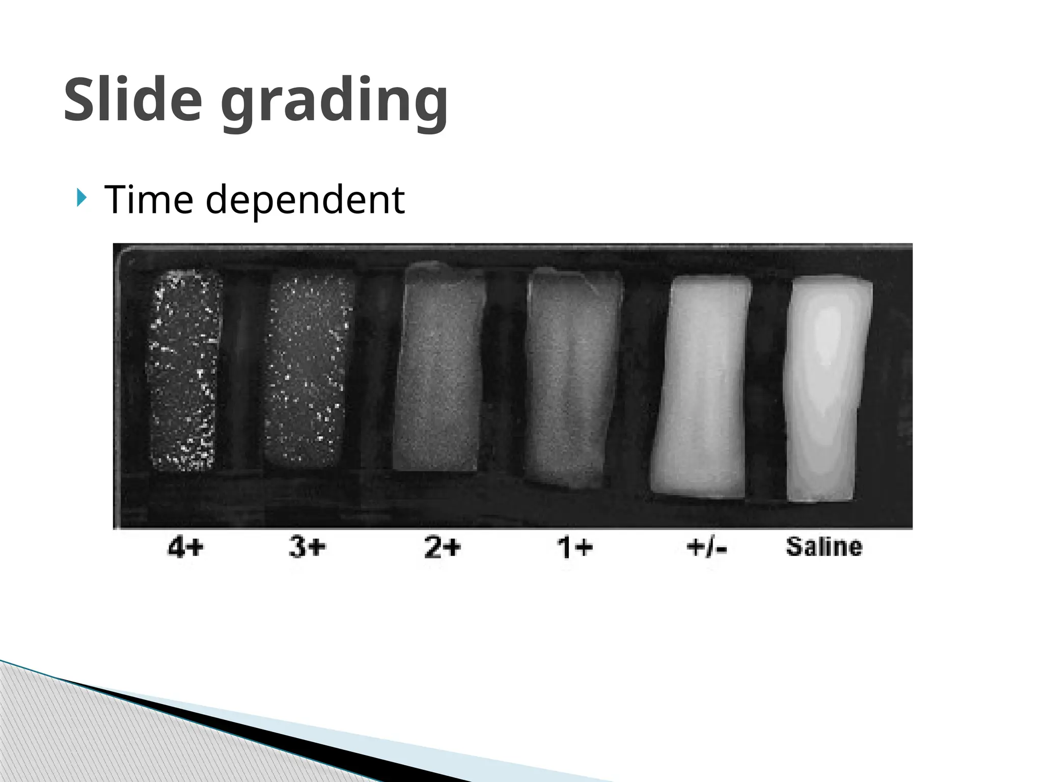 Gradddding turbilatex agglutination.pptx