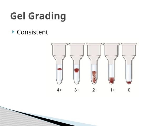 Gradddding turbilatex agglutination.pptx