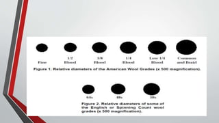 Grading and judging of wool | PPTX