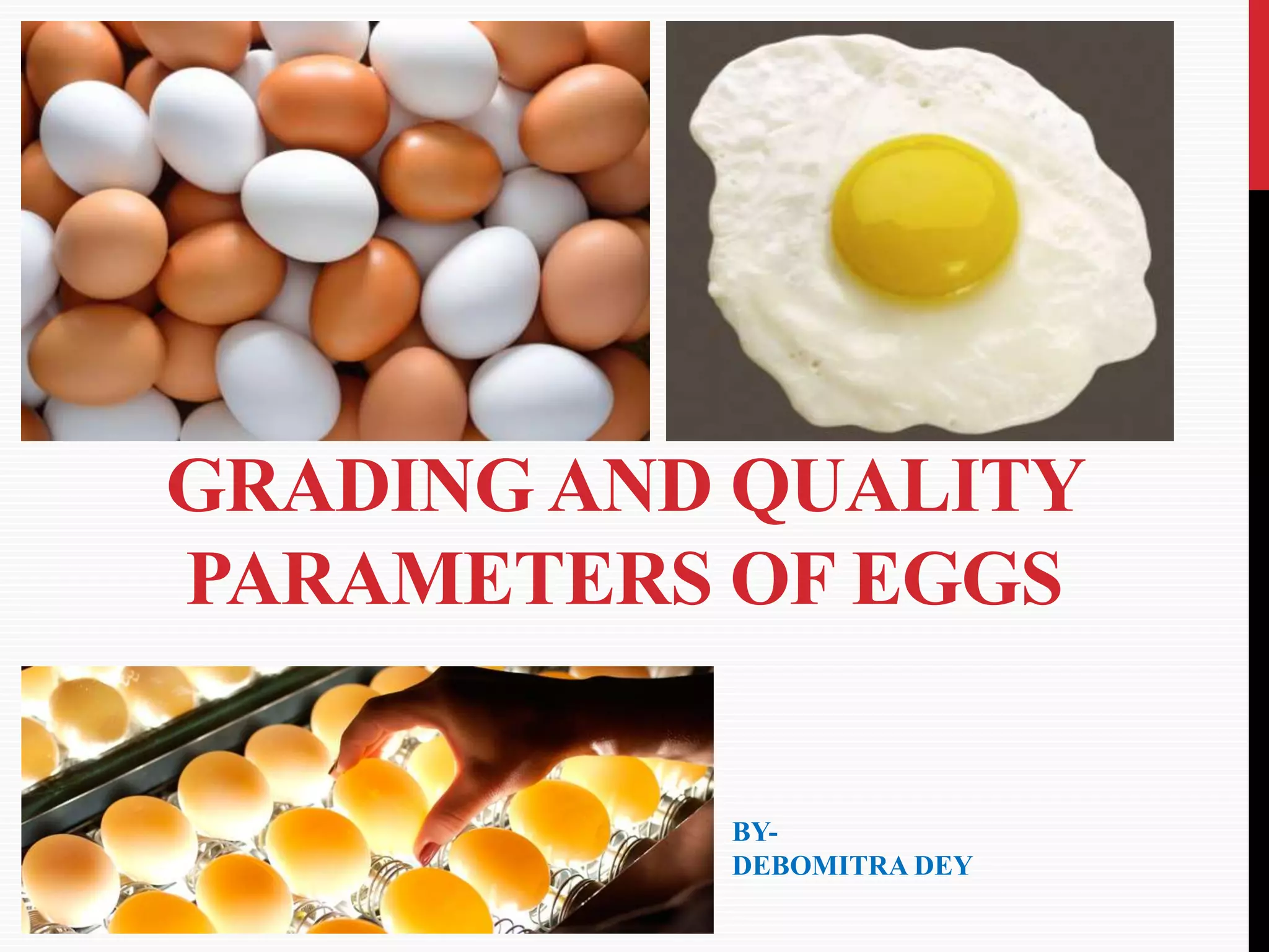 Grading and quality parameters of eggs | PPTX