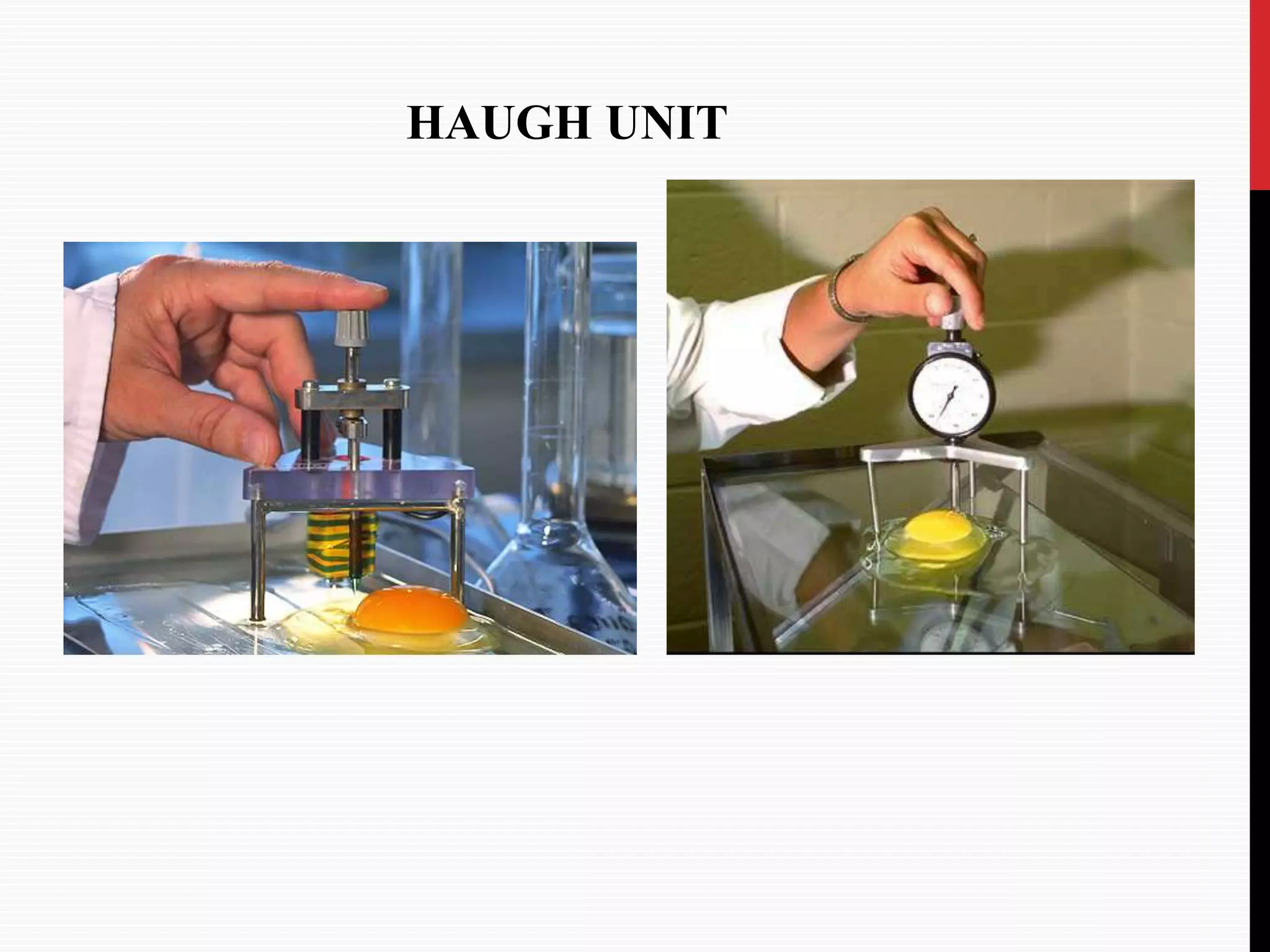 Grading and quality parameters of eggs | PPTX