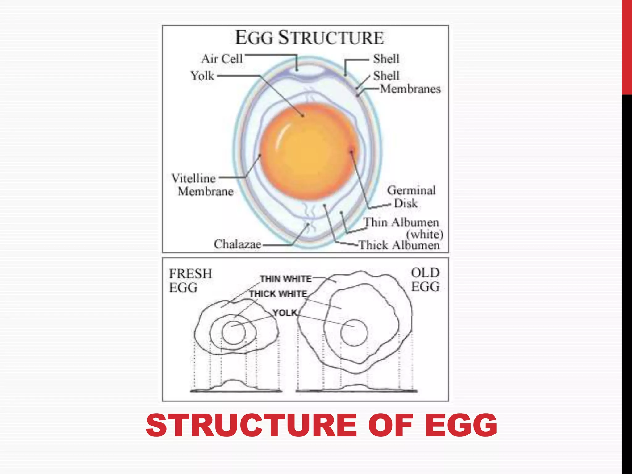 Grading and quality parameters of eggs | PPTX