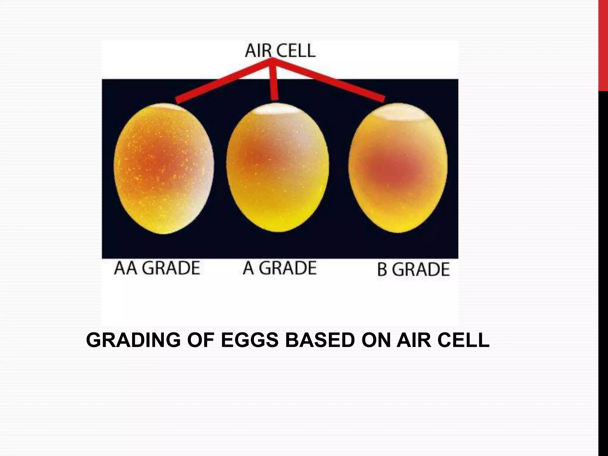Grading and quality parameters of eggs | PPTX