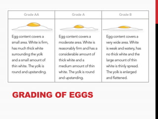Grading and quality parameters of eggs | PPTX