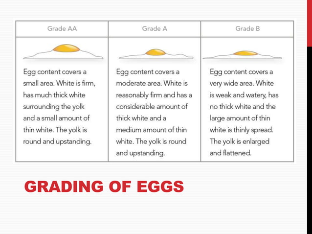 Grading and quality parameters of eggs | PPTX