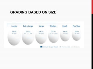 Grading and quality parameters of eggs | PPTX