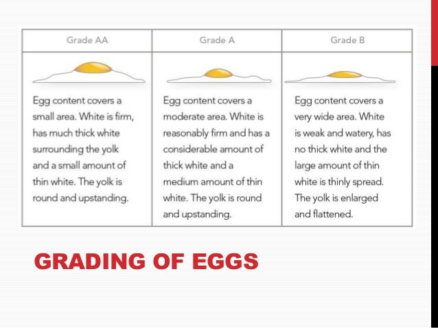 Grading and quality parameters of eggs