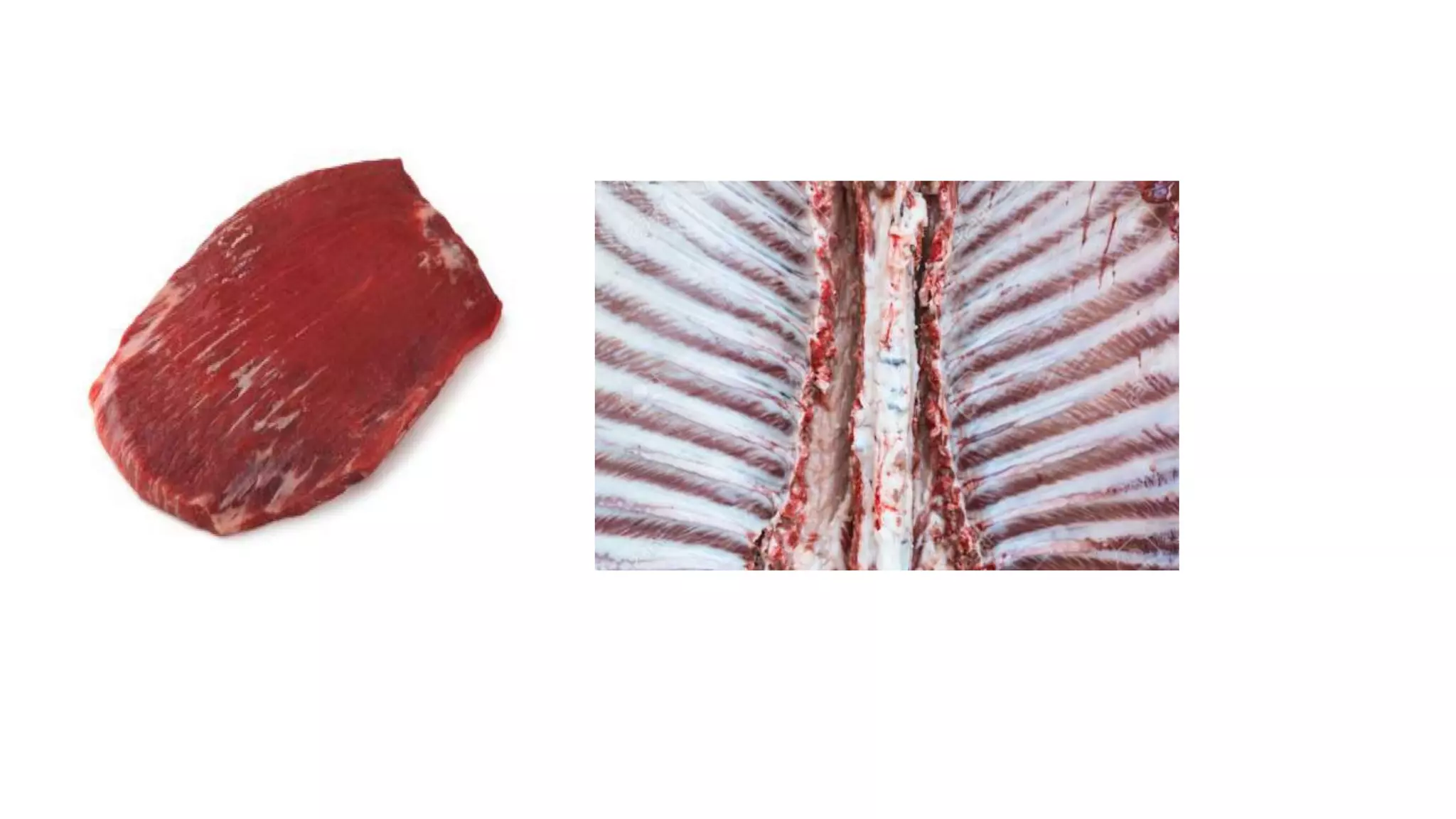 Grading judging and fabrication of meat carcass | PPTX