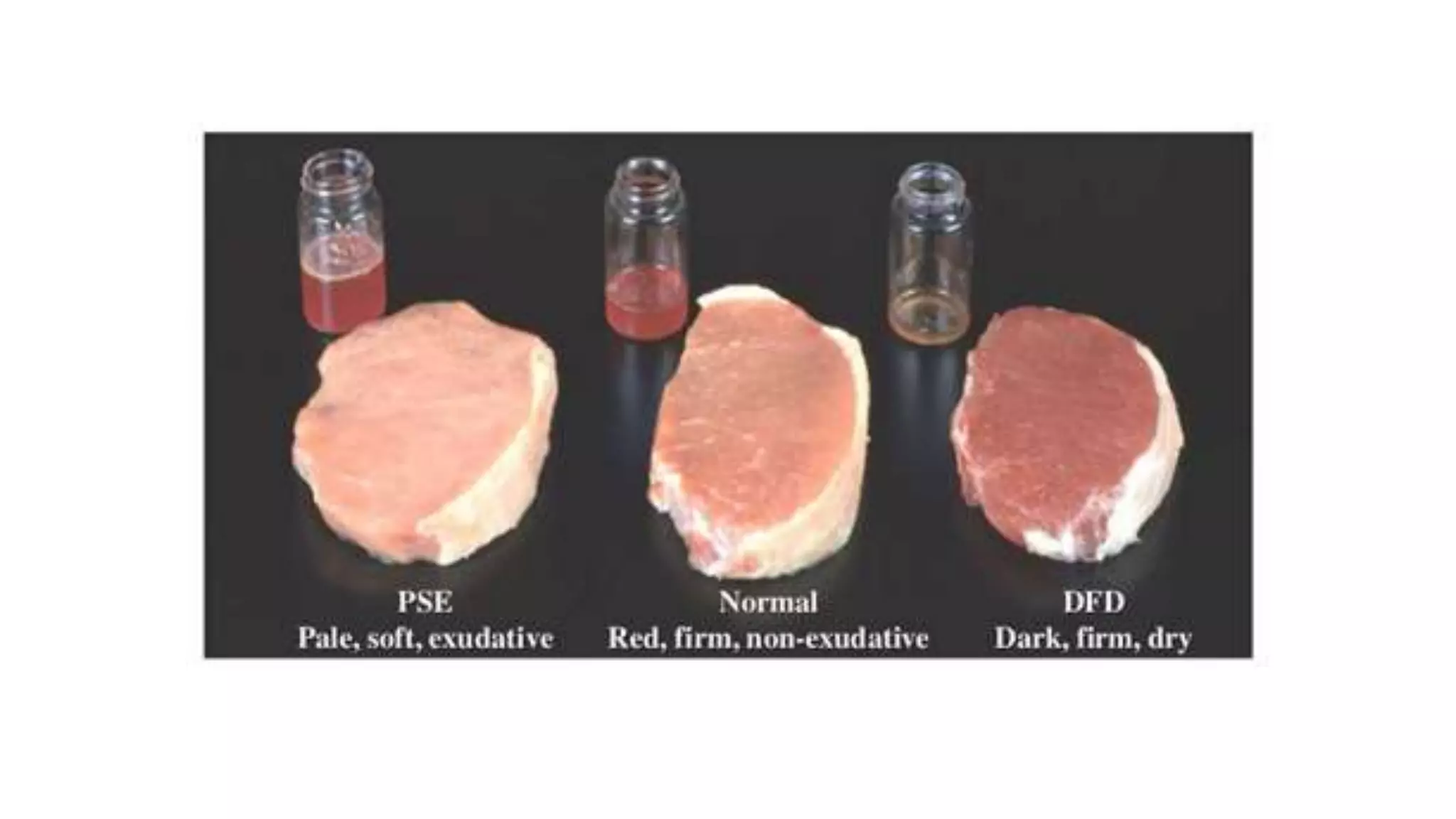 Grading judging and fabrication of meat carcass | PPTX
