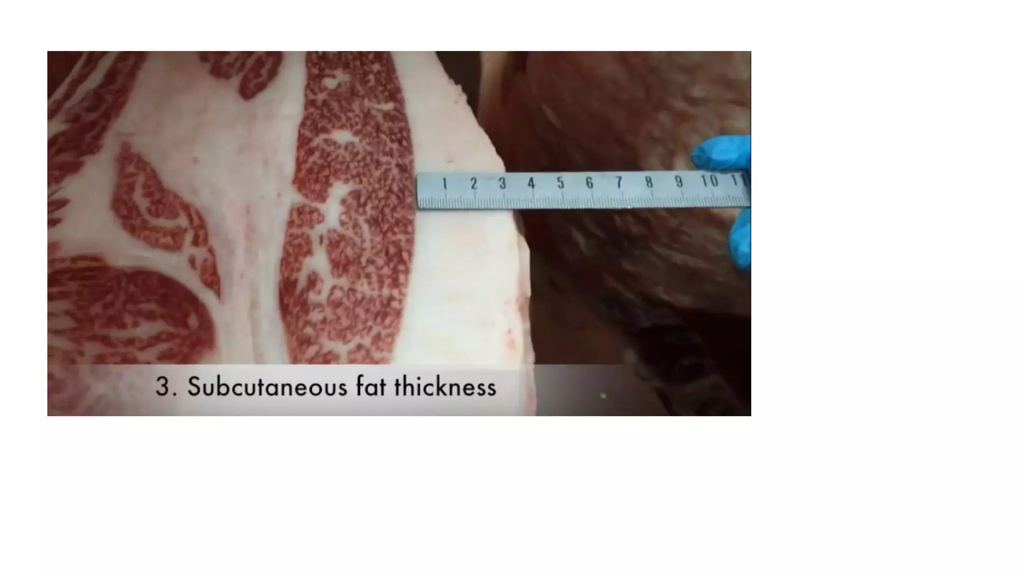 Grading judging and fabrication of meat carcass | PPTX