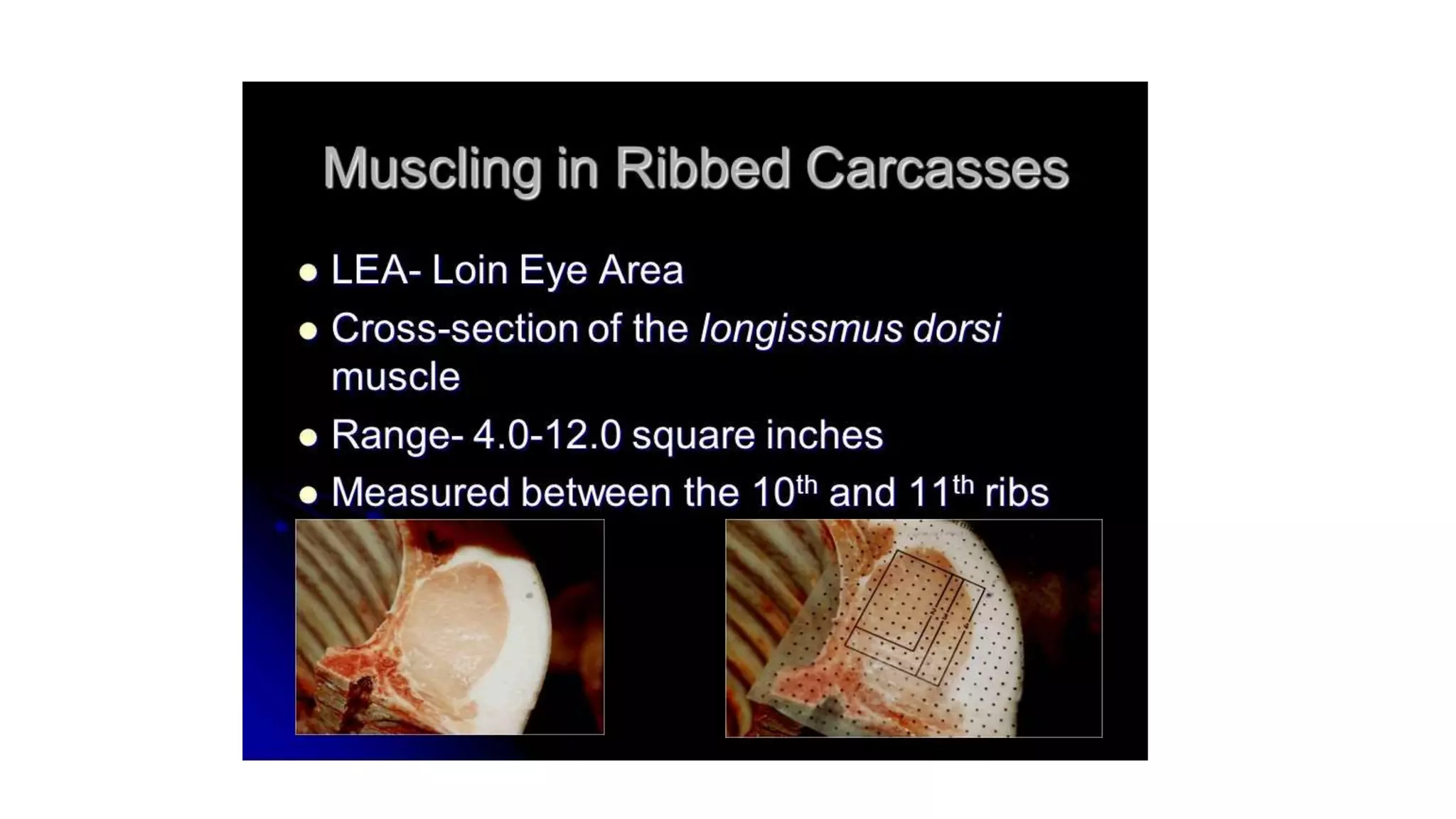 Grading judging and fabrication of meat carcass | PPTX