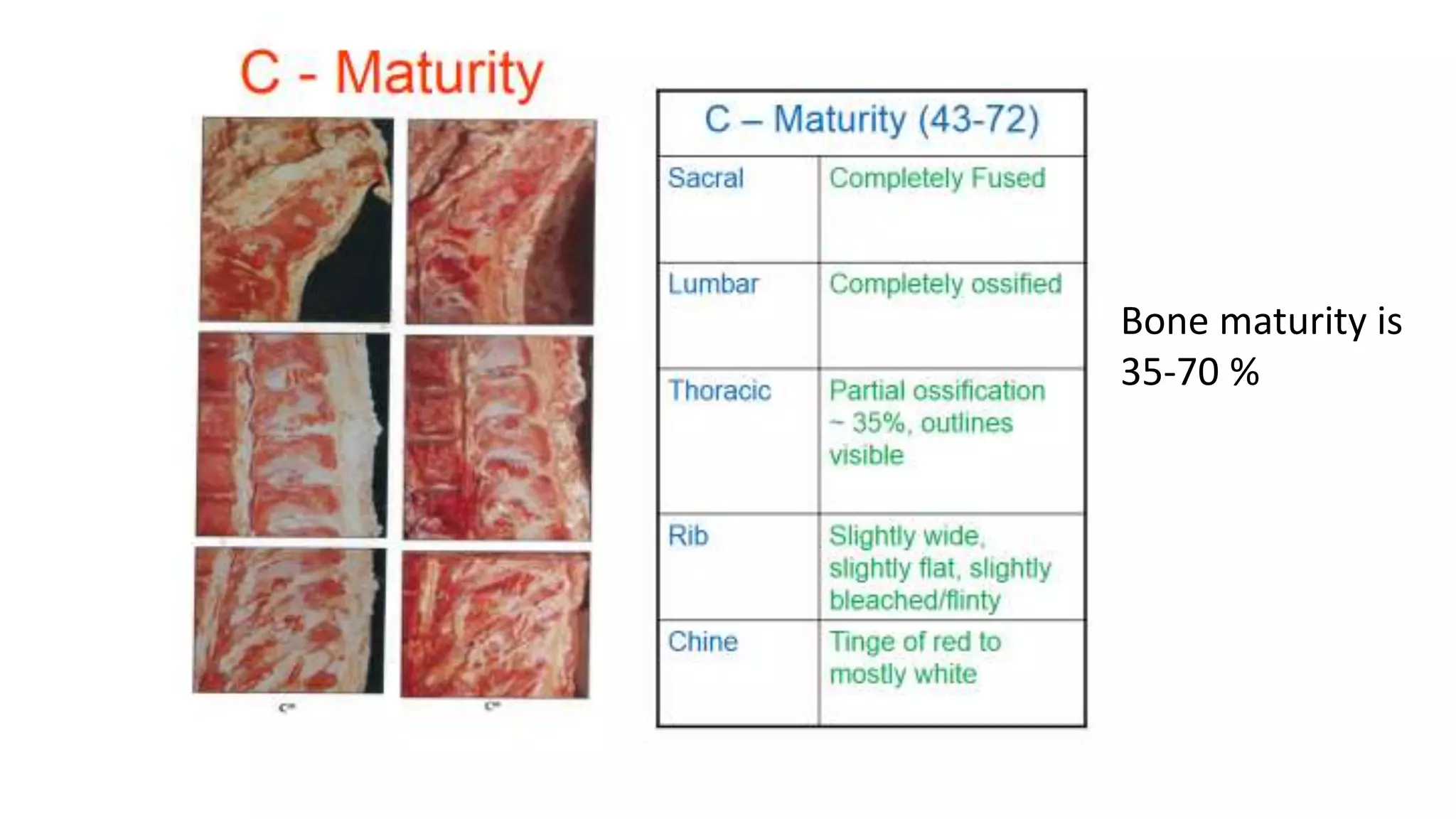 Grading judging and fabrication of meat carcass | PPTX