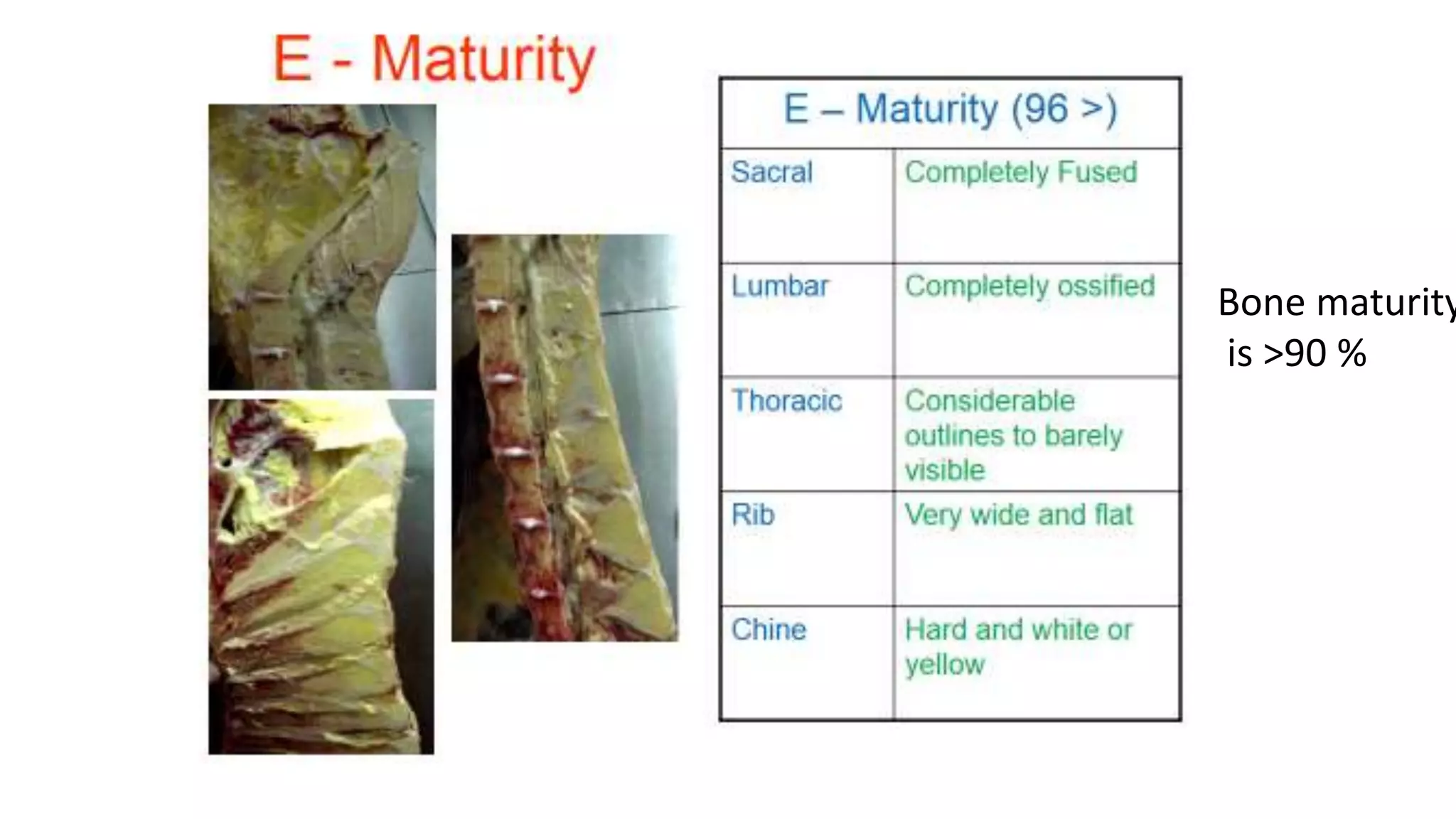 Grading judging and fabrication of meat carcass | PPTX