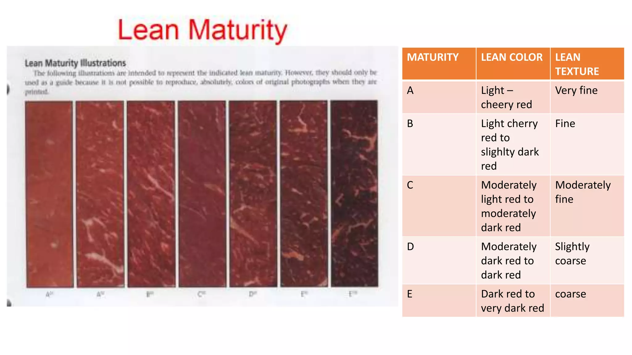 Grading judging and fabrication of meat carcass | PPTX