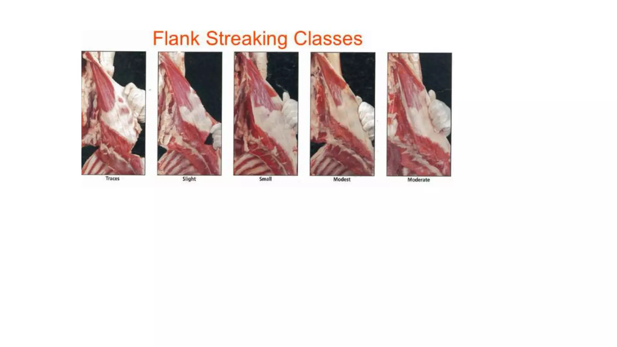 Grading Judging And Fabrication Of Meat Carcass Ppt
