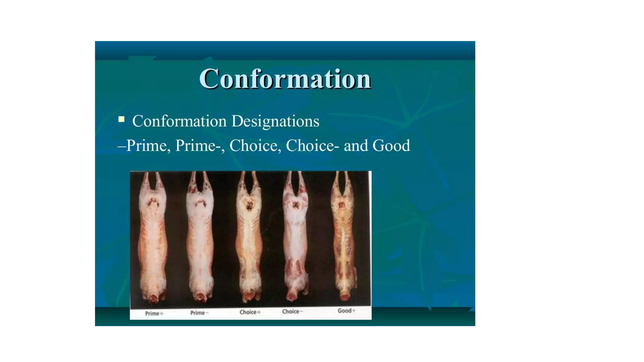 Grading judging and fabrication of meat carcass | PPTX