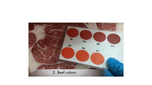 Grading judging and fabrication of meat carcass | PPTX | Agriculture ...